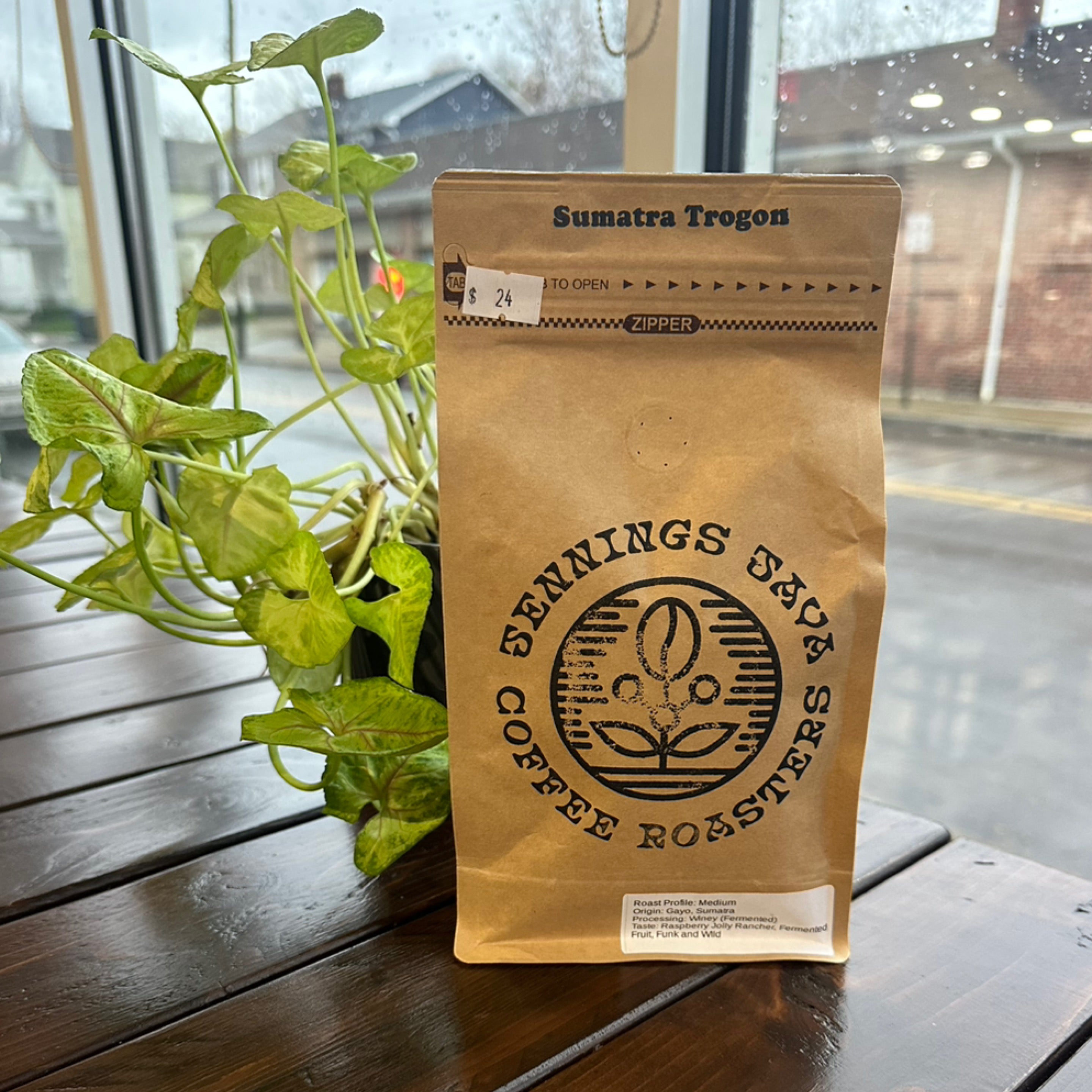 Sumatra Trogon | Jennings Java Coffee Roasters