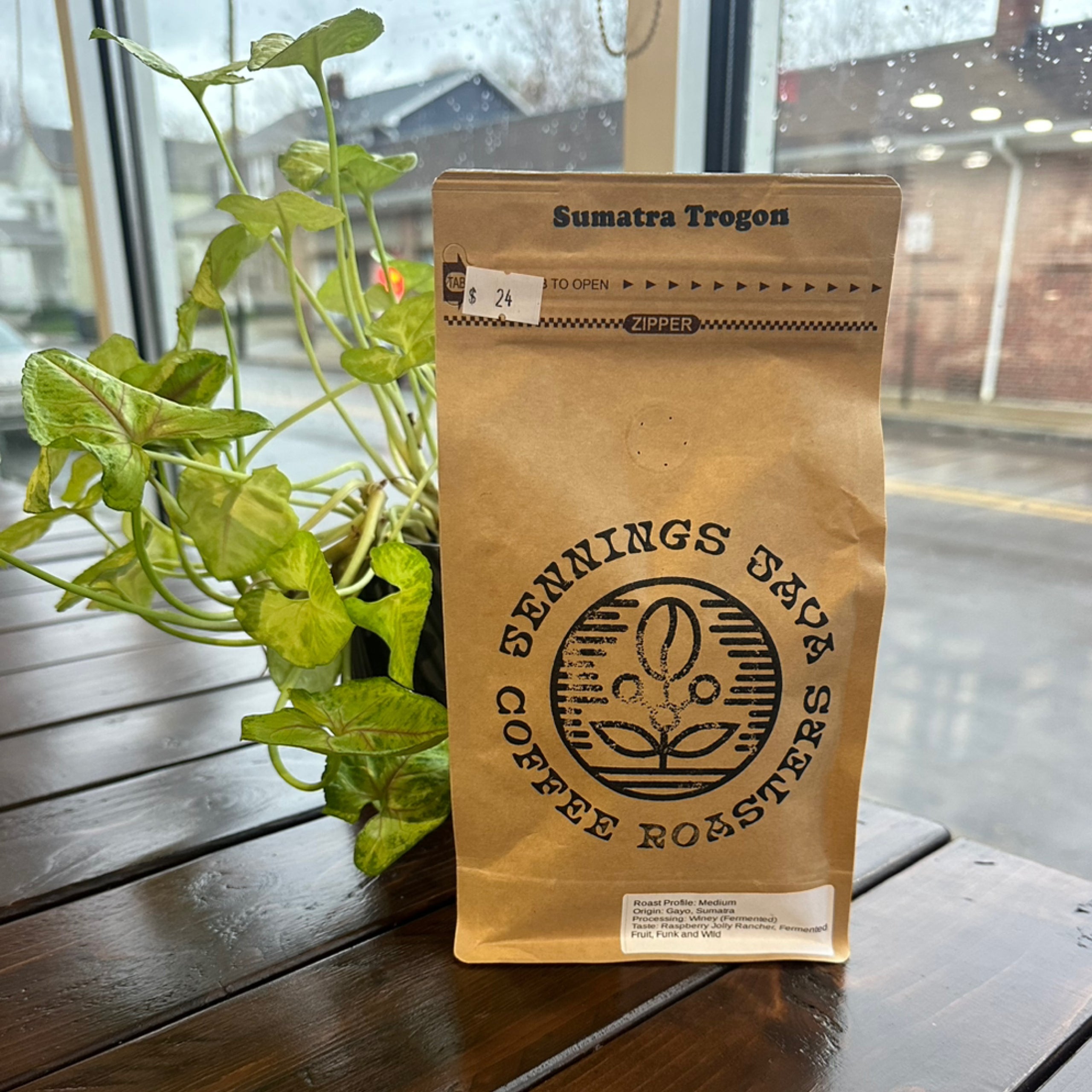 Sumatra Trogon | Jennings Java Coffee Roasters